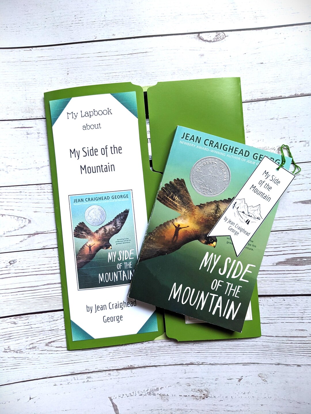 My Side of the Mountain Novel-themed Lapbook Kit - Etsy