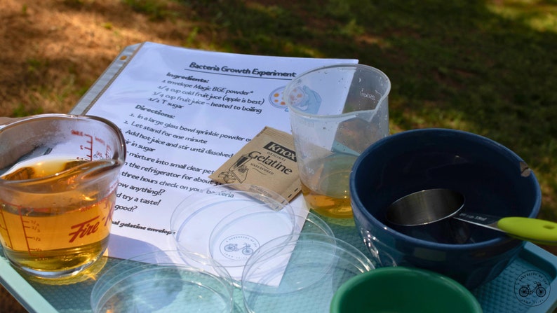 Science Experiment Recipe Bundle - Etsy