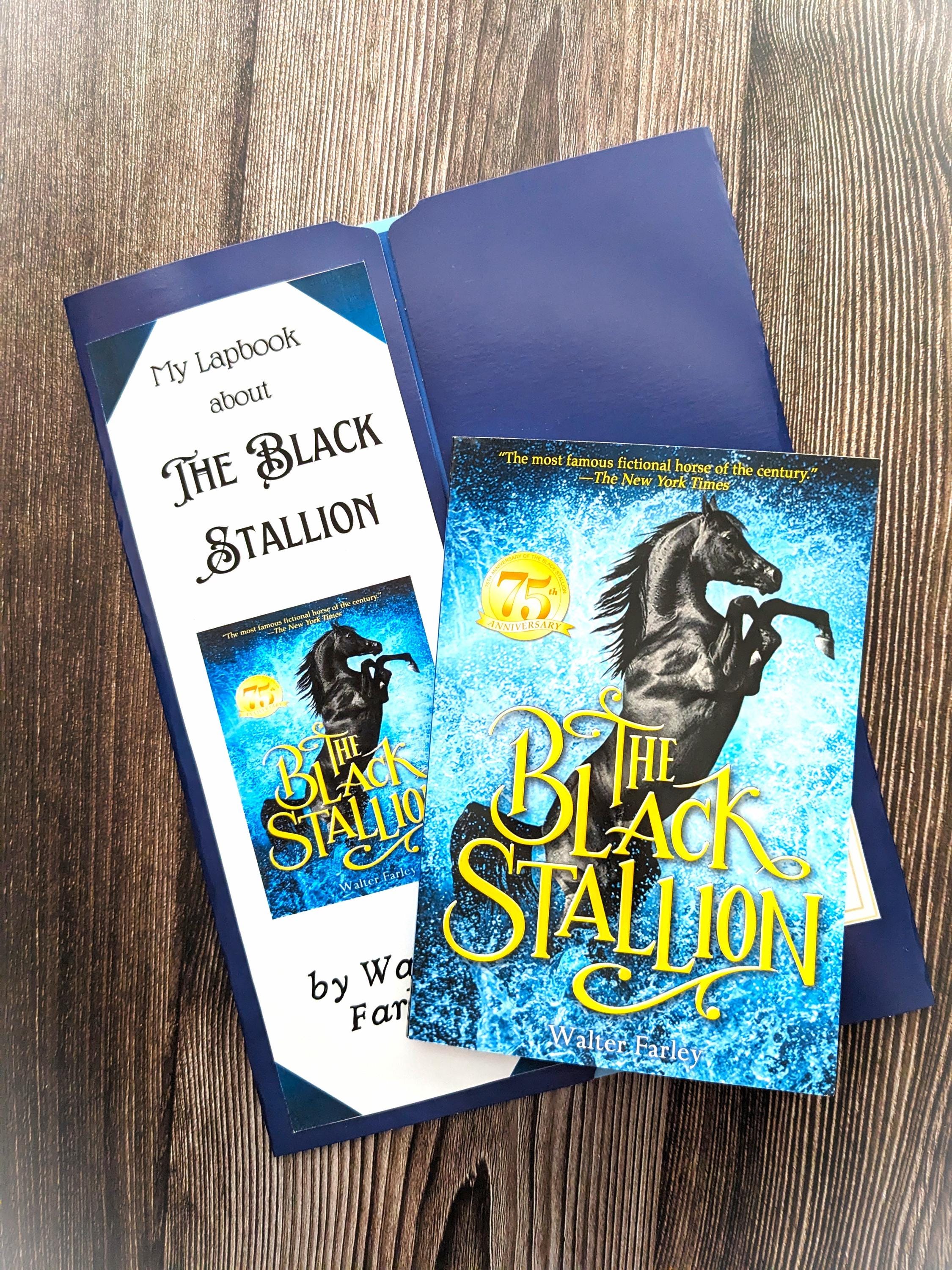 The Black Stallion Novel-lapbook Kit - Etsy