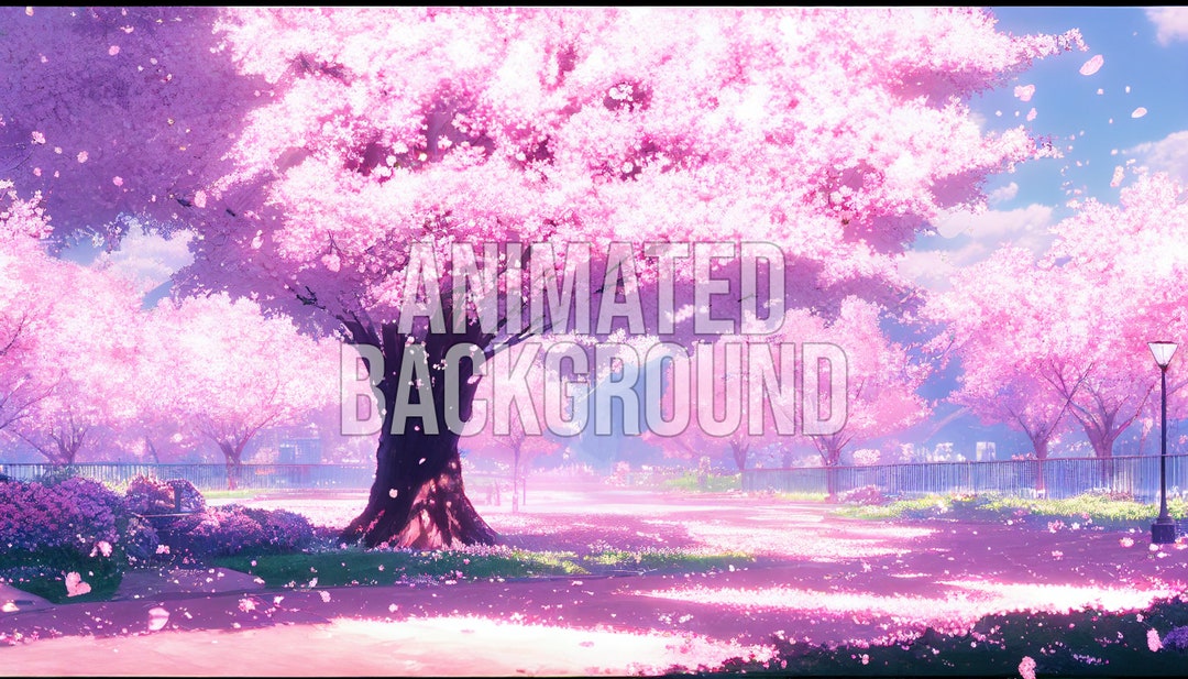 Sakura Trees Anime Backround