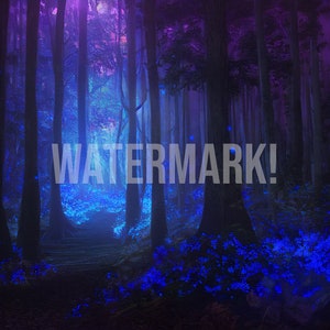 5 Enchanted Forest Stream Background Assets Perfect for Any V-tuber ...