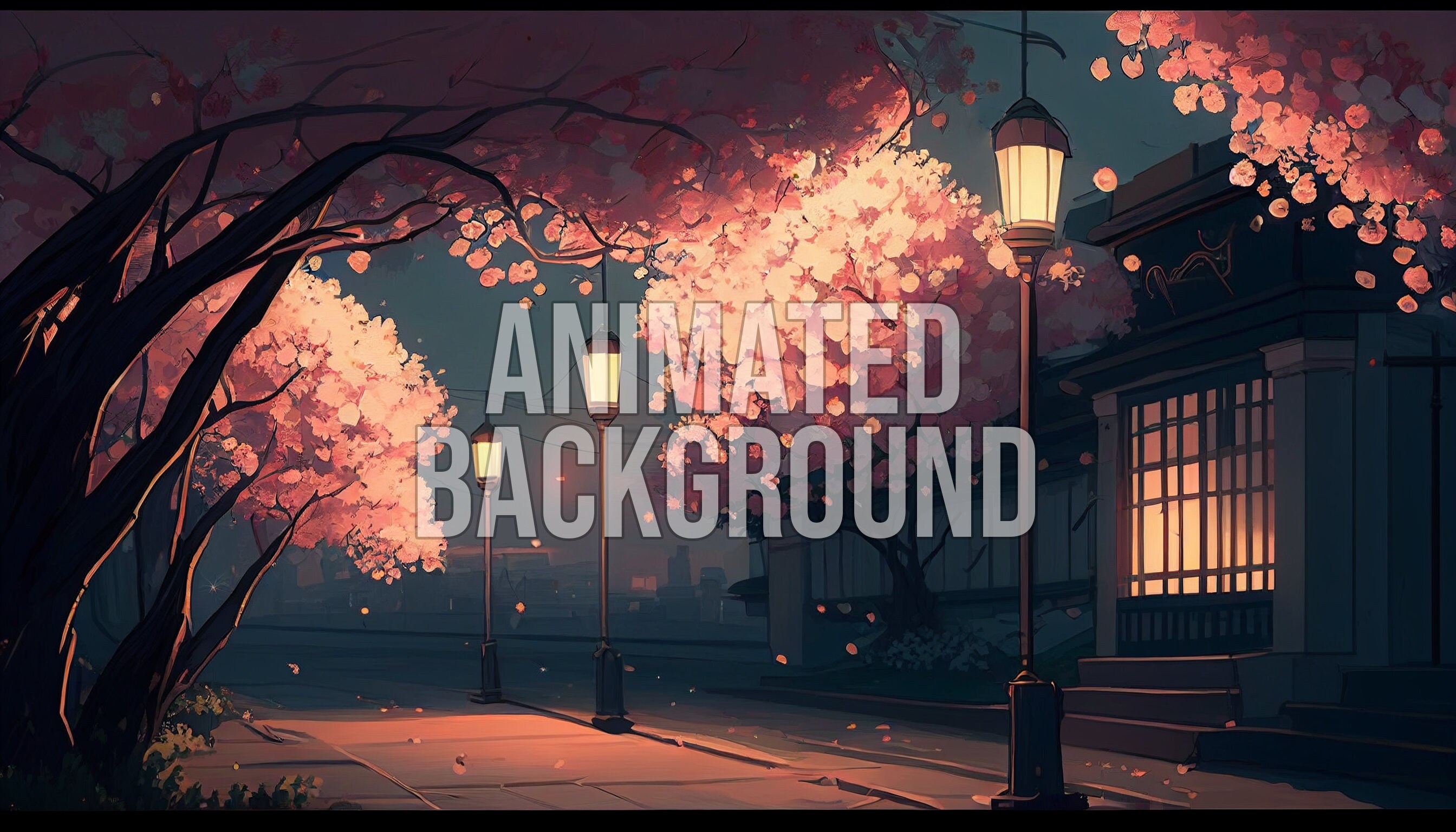 ANIMATED BACKGROUND Night Cherry Blossom Street Full HD Lofi Perfect ...
