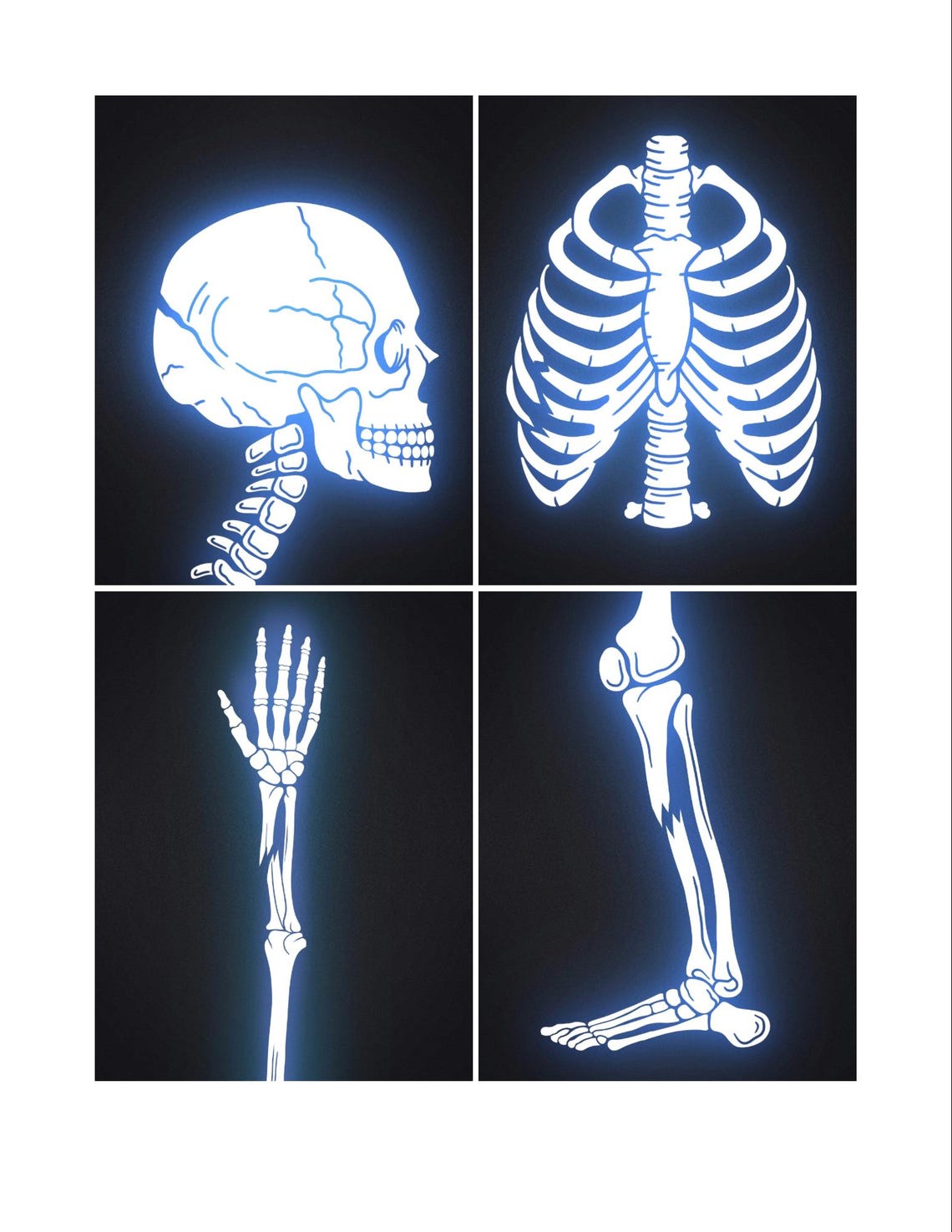 Doctor Pretend Play Pages for Toddlers With X-rays (printable) - Etsy