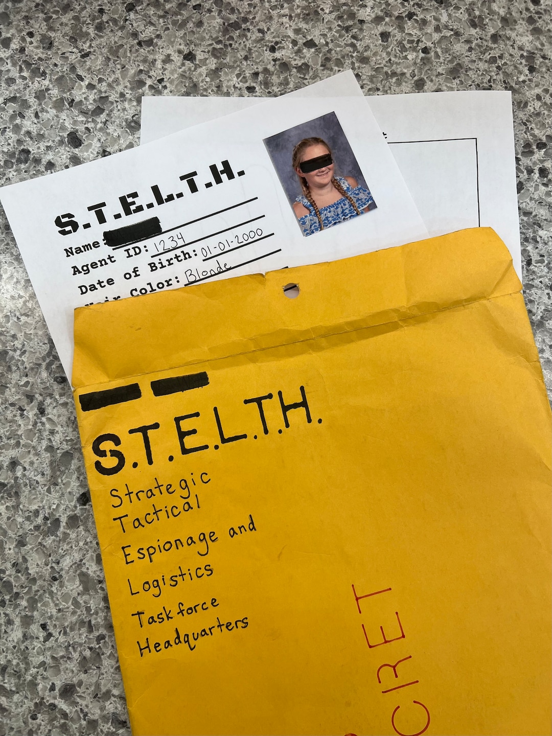 Secret Agent Profile - Etsy