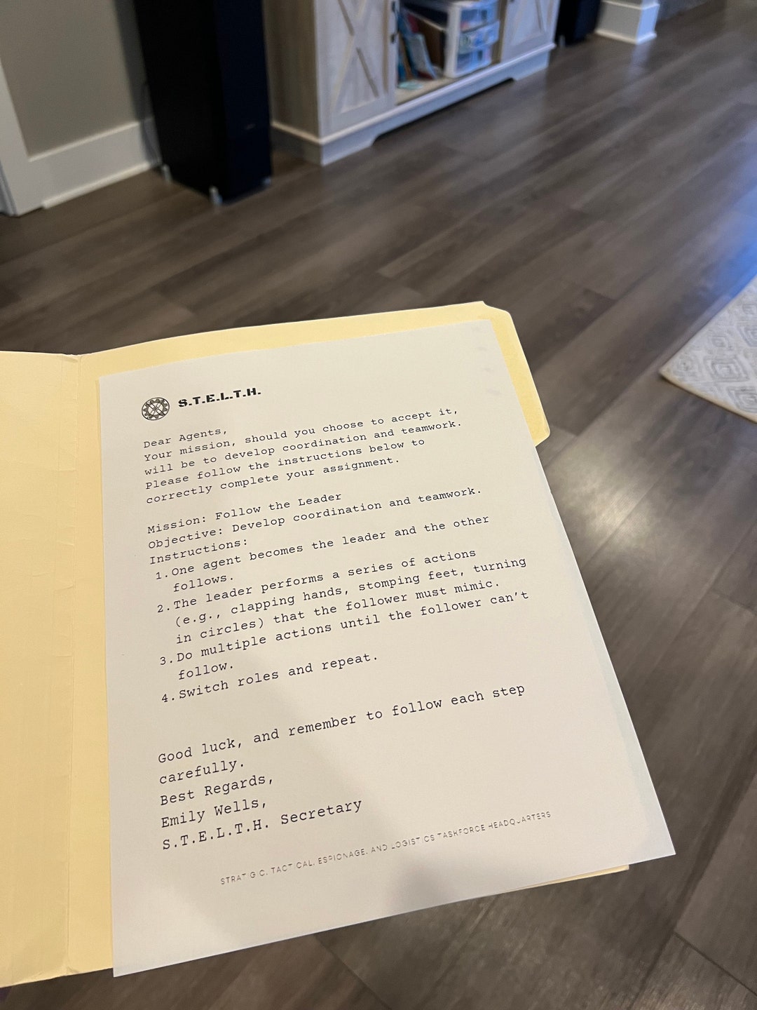 Secret Agent Mission - Etsy