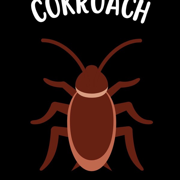 Cockroach Print - Etsy