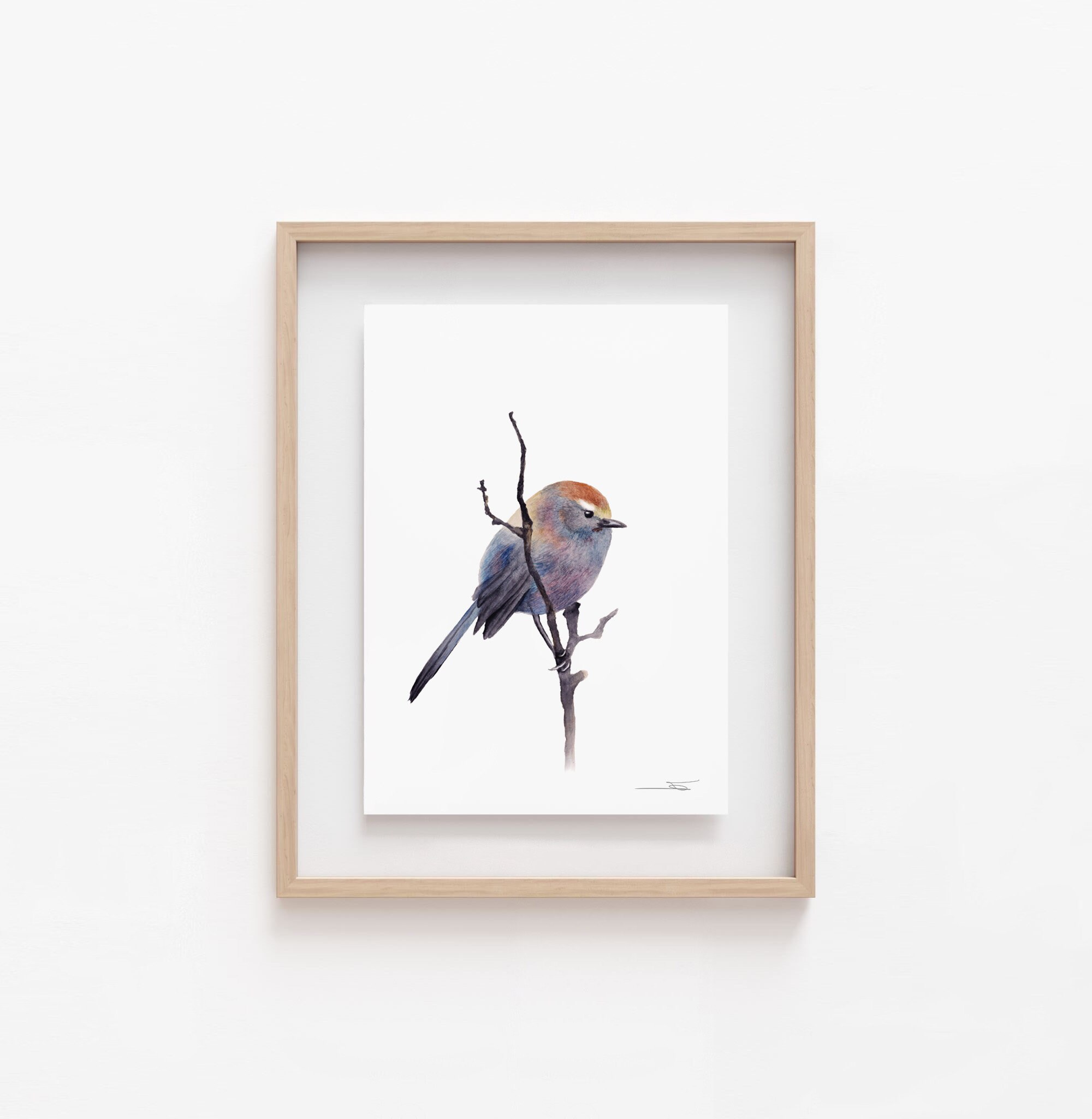 Bird Print, Bird Watercolor Prints, Bird Art, Bird Wall Decor, Wall Art ...