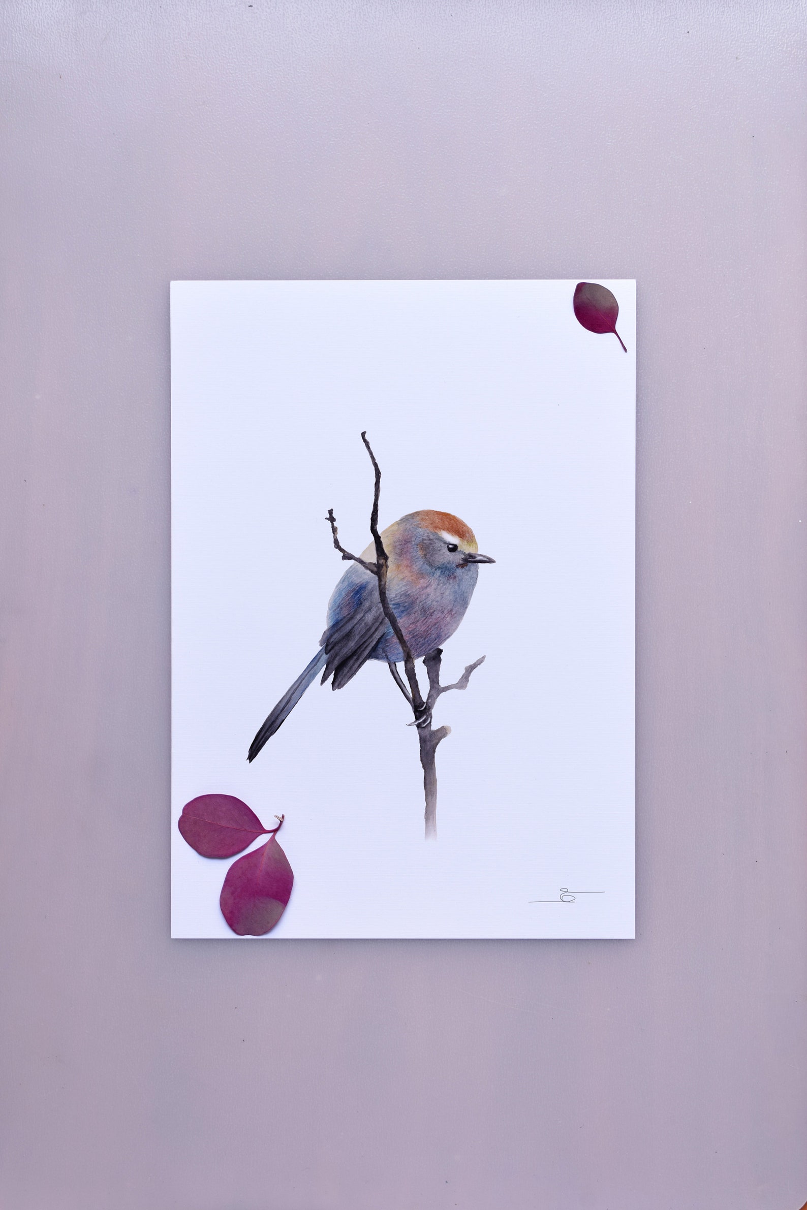 Bird Print, Bird Watercolor Prints, Bird Art, Bird Wall Decor, Wall Art ...