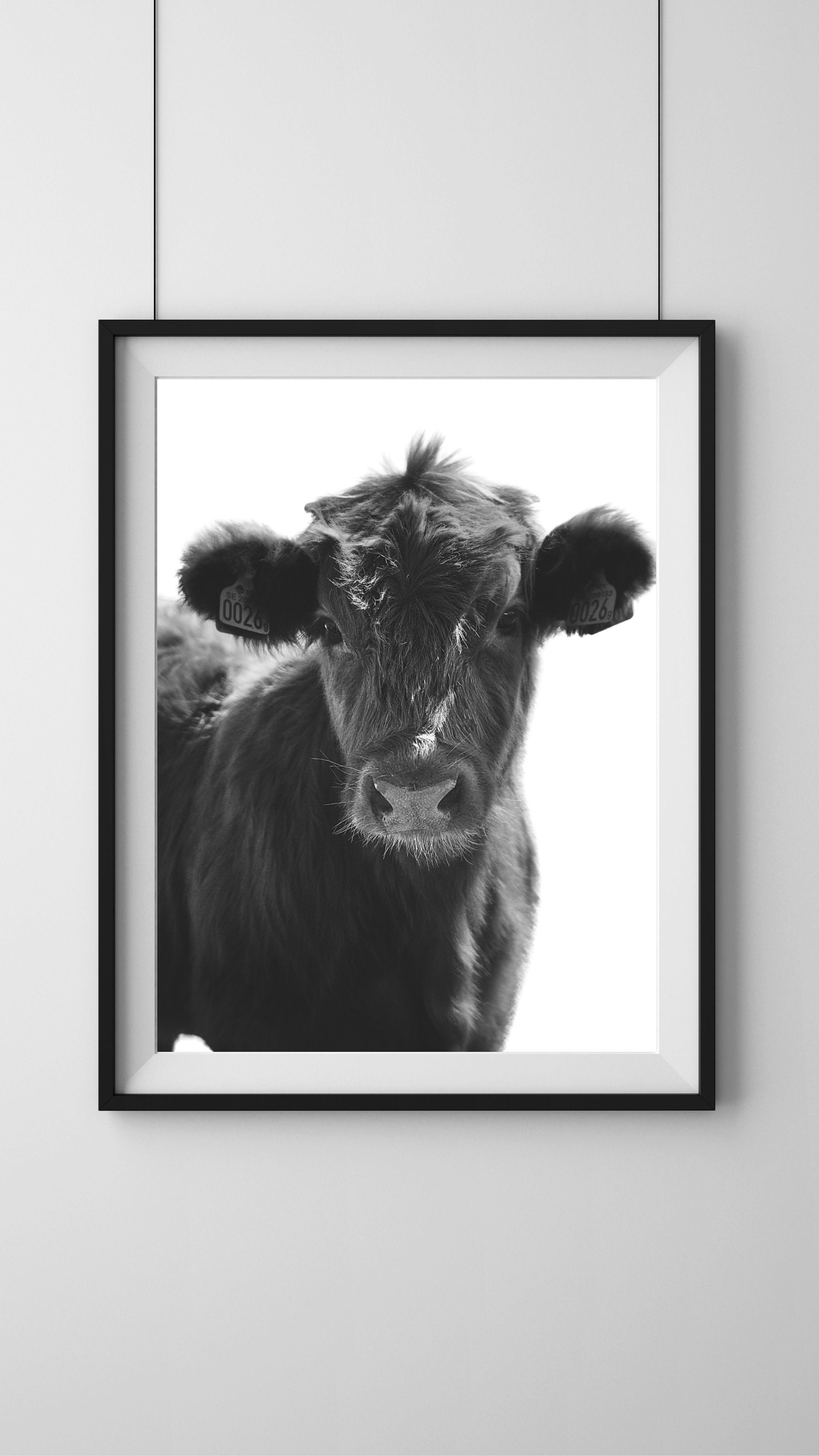 Cow Print PRINTABLE WALL ART Black and White Photo Farm - Etsy