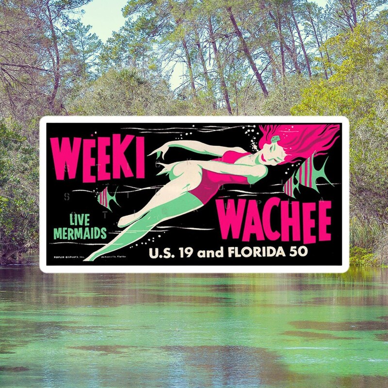 Weeki Wachee - Etsy