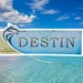 Destin Florida Sign Vinyl Decal/sticker! 5"x1.5". Waterproof! Made in ...