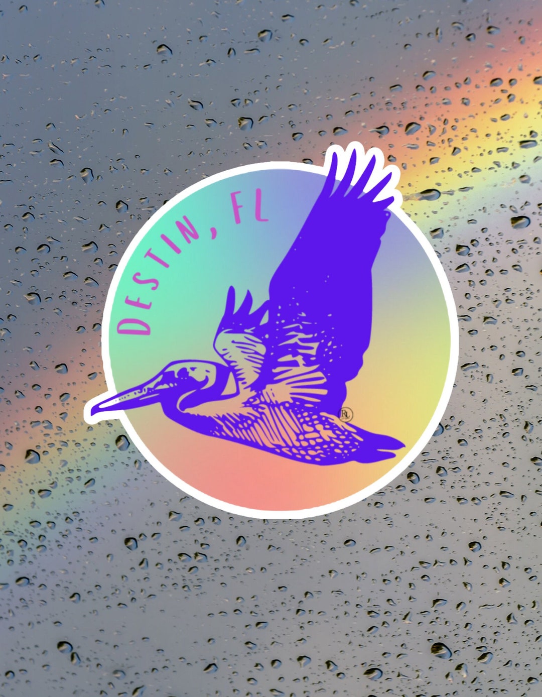 Destin Florida Colorful Pelican Sticker! Over 3" Waterproof! Made in ...