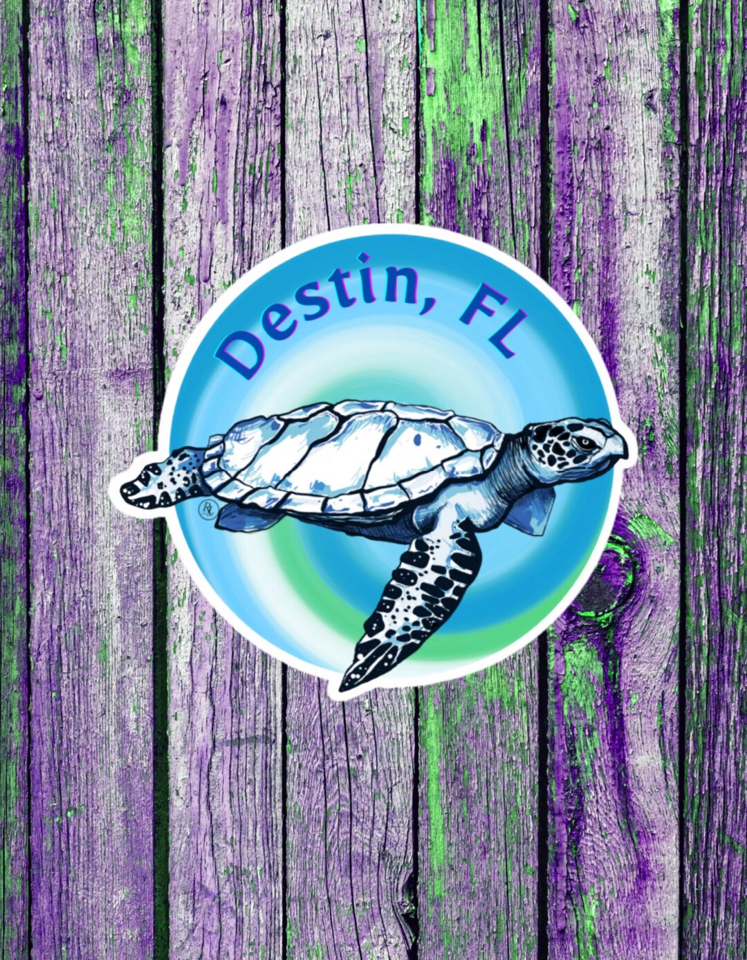 Destin Florida Sea Turtle Sticker! Over 3" Waterproof! Made in the USA ...