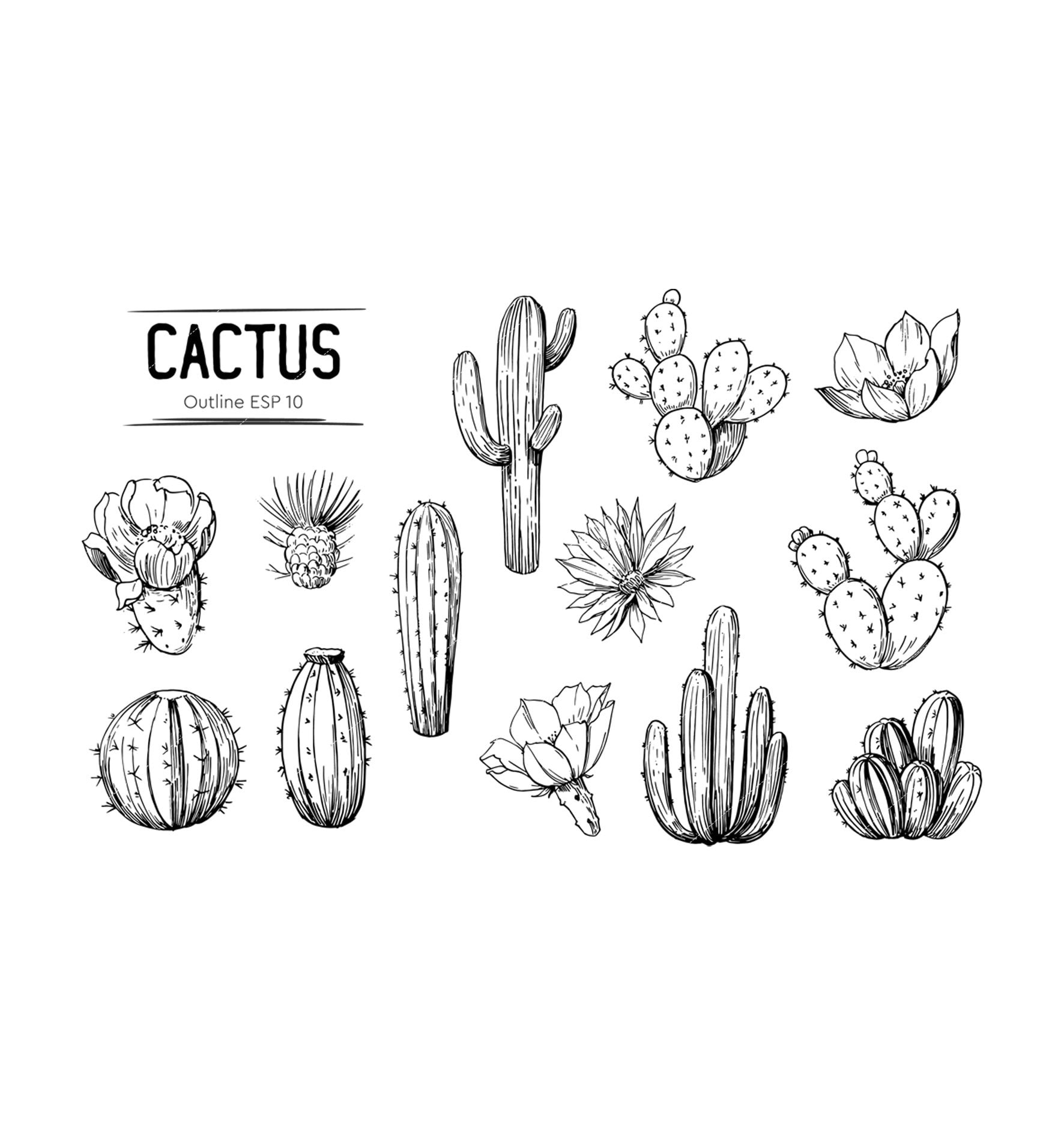 Cactus Svg,cactus Svg Files for Cricut,cactus Svg Bundle,png,dxf,cactus ...