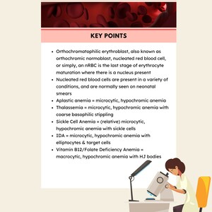 Hematology: Rbc Study Guide - Cheat Sheet - Heme - Mlt/mls/mt/rn - Nclex Study - Laboratory Ascp ...