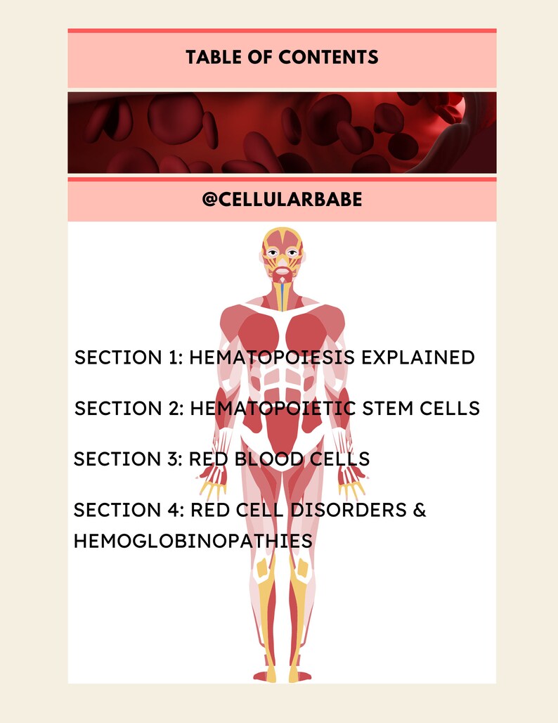 Hematology: Rbc Study Guide - Cheat Sheet - Heme - Mlt/mls/mt/rn - Nclex Study - Laboratory Ascp ...