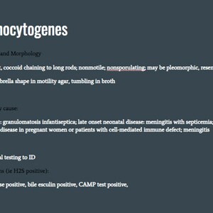 Microbiology Study Cards - Micro Notes - Mlt/mls/rn - Micro Notebook ...