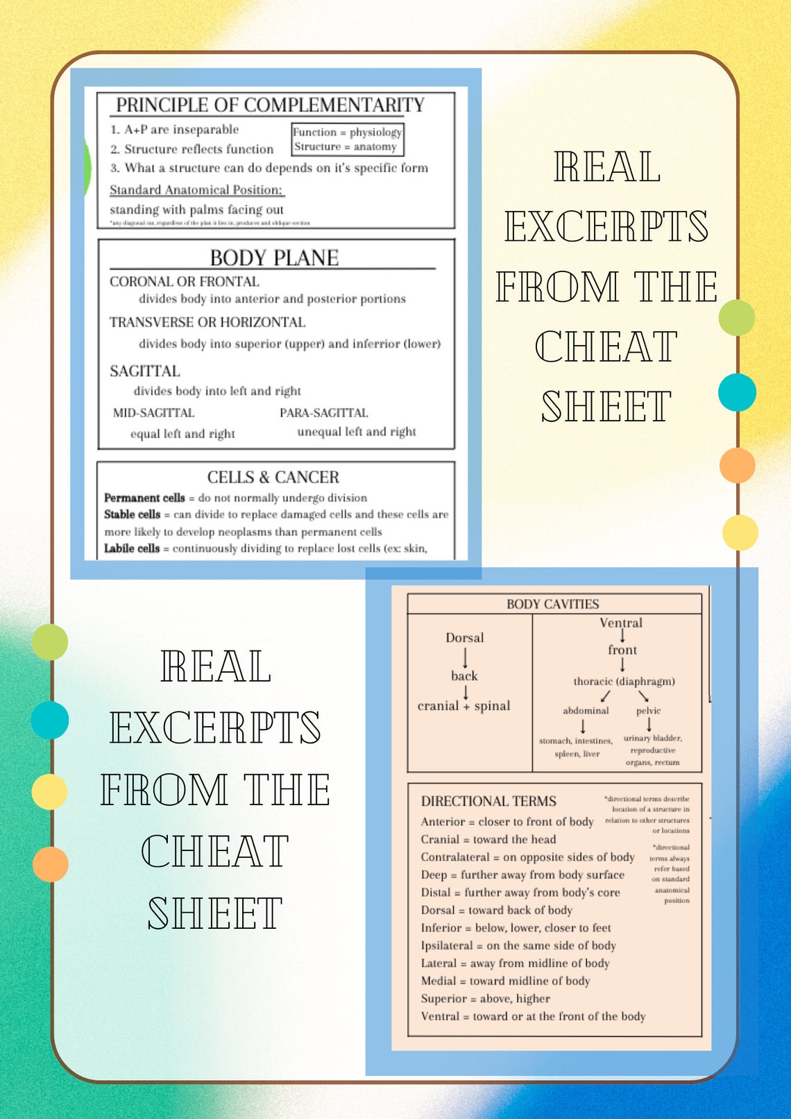 Medical Terminology Cheat Sheet - Med Notes, Medical Assistant, Anatomy ...
