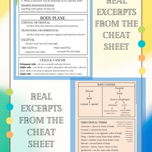 Medical Terminology Cheat Sheet - Med Notes, Medical Assistant, Anatomy ...