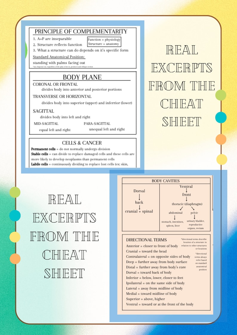 Medical Terminology Cheat Sheet - Med Notes, Medical Assistant, Anatomy ...