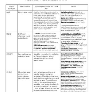 Microbiology Culture & Media Charts - Mlt, Mls, Phd - Clinical and ...