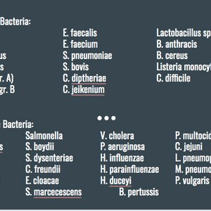 Microbiology Study Cards - Micro Notes - Mlt/mls/rn - Micro Notebook ...