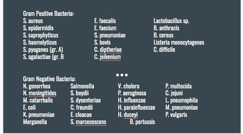 Microbiology Study Cards - Micro Notes - Mlt/mls/rn - Micro Notebook ...