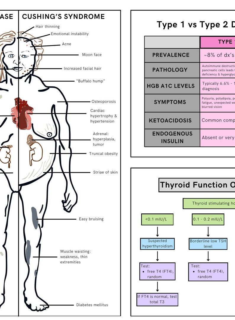 Hormone Cheat Sheet Endocrine MLT/MLS/RN Med Tech Chemistry Medical ...