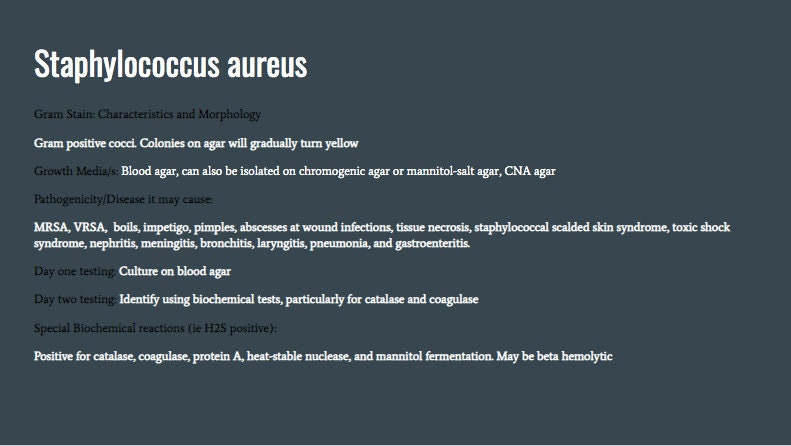 Microbiology Study Cards - Micro Notes - Mlt/mls/rn - Micro Notebook ...