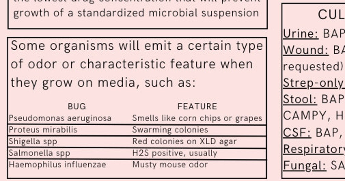 Micro Cheat Sheet! Microbiology/gram Stain/serology Notes - Mlt/mls ...