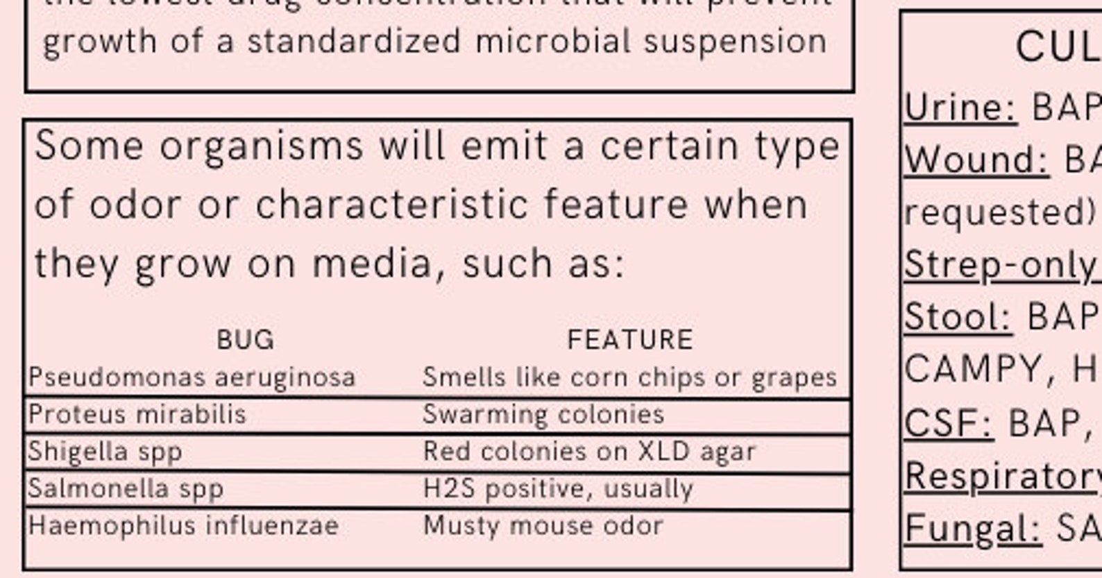 Micro Cheat Sheet! Microbiology/gram Stain/serology Notes - Mlt/mls ...