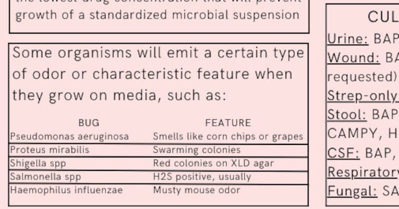 Micro Cheat Sheet! Microbiology/gram Stain/serology Notes - Mlt/mls ...