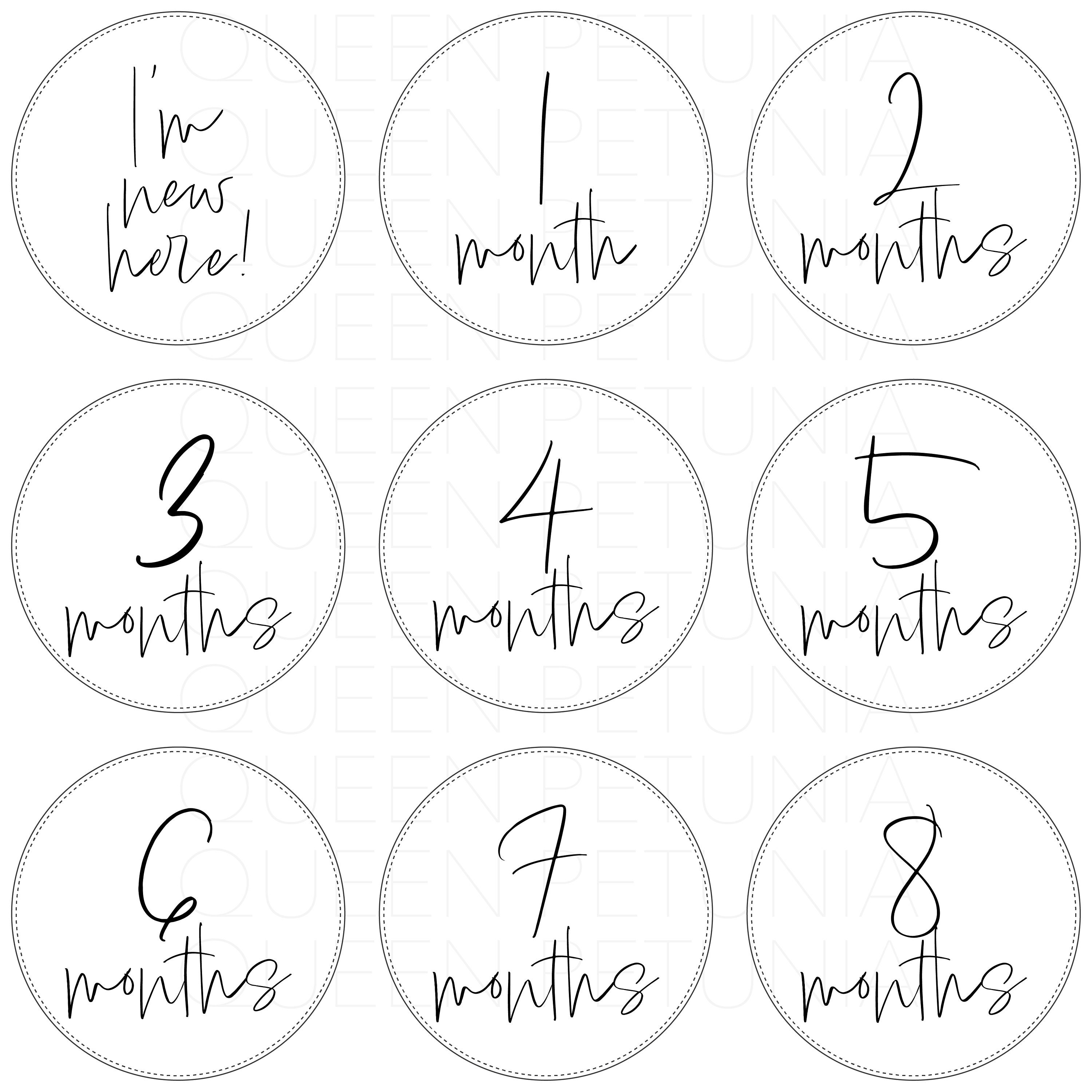 Baby Monthly Milestones - English | Modern Baby Monthly Cards | INSTANT ...