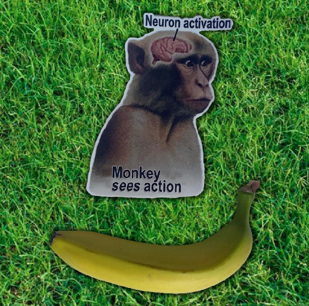 Monkey Neuron Activation Sticker - Etsy