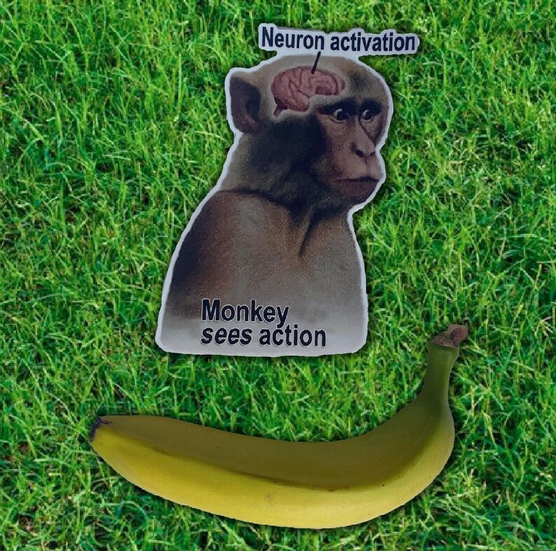 Monkey Neuron Activation Sticker - Etsy