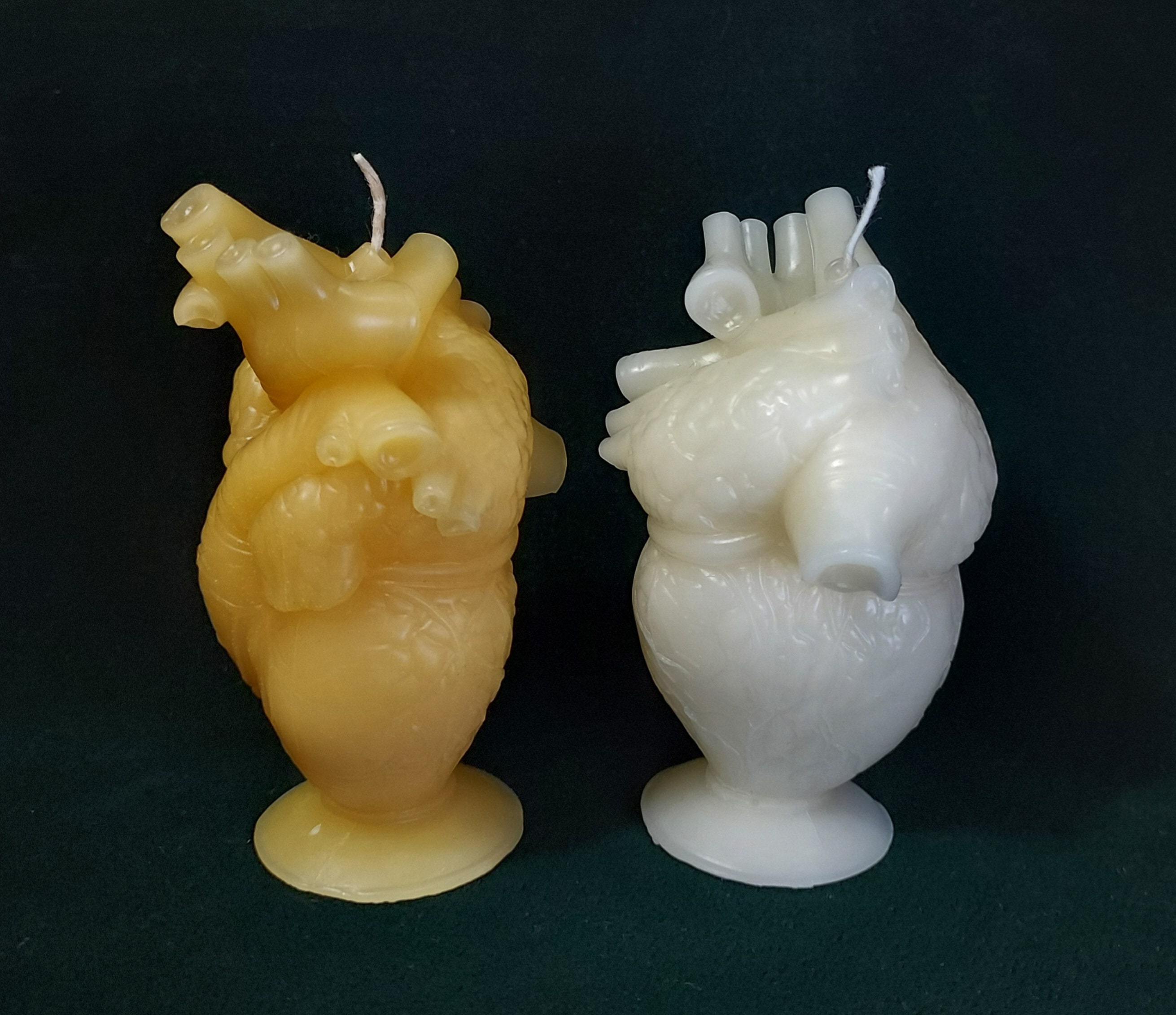 Human Heart Anatomy Beeswax Candle - Etsy