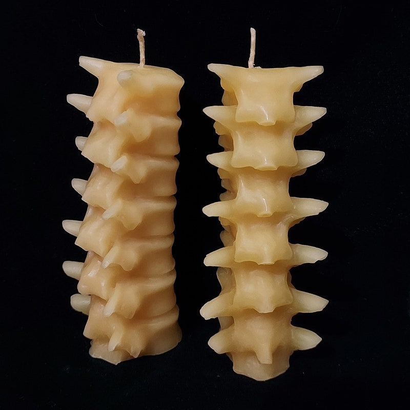 Spine Candle - Etsy