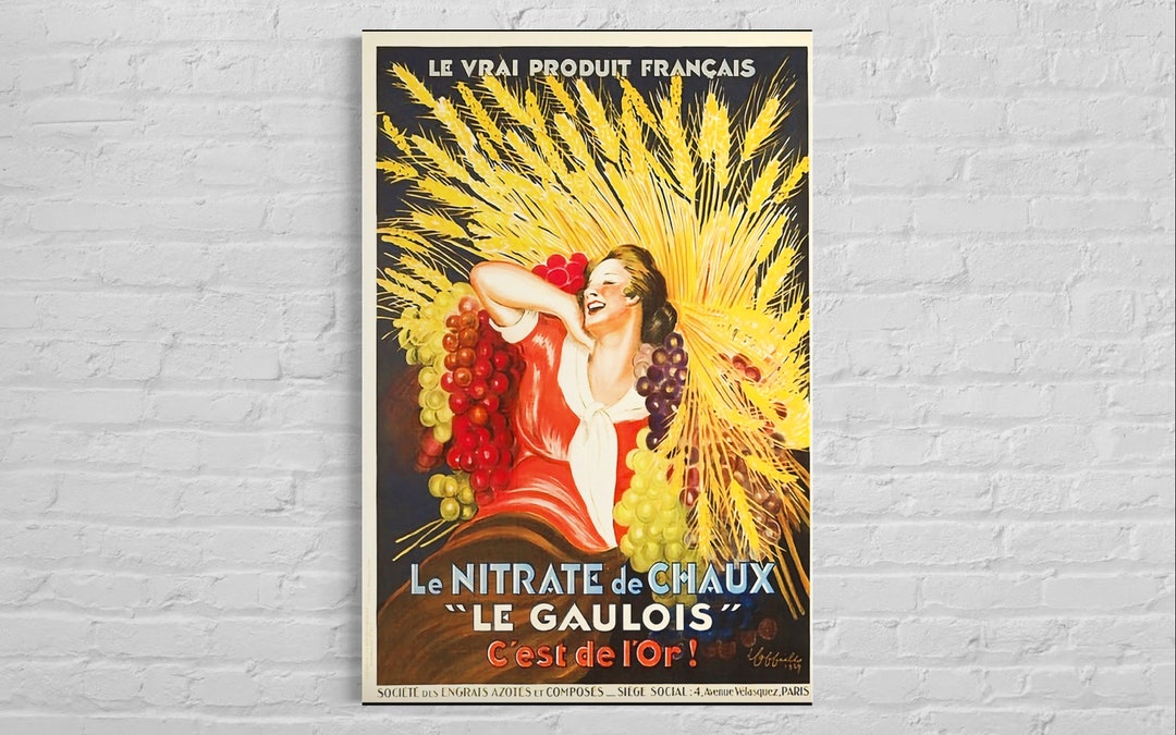 Le Gaulois" Poster, Wall Art, Colorful Poster, Art Deco Poster ...
