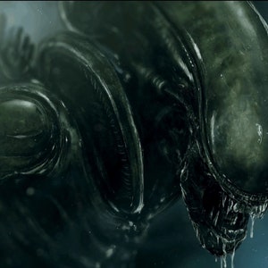 Alien Twitch / Kick Animated Background Streaming Screens - Etsy