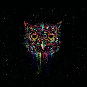 Owl Twitch / Kick Animated Background Streaming Screens - Etsy