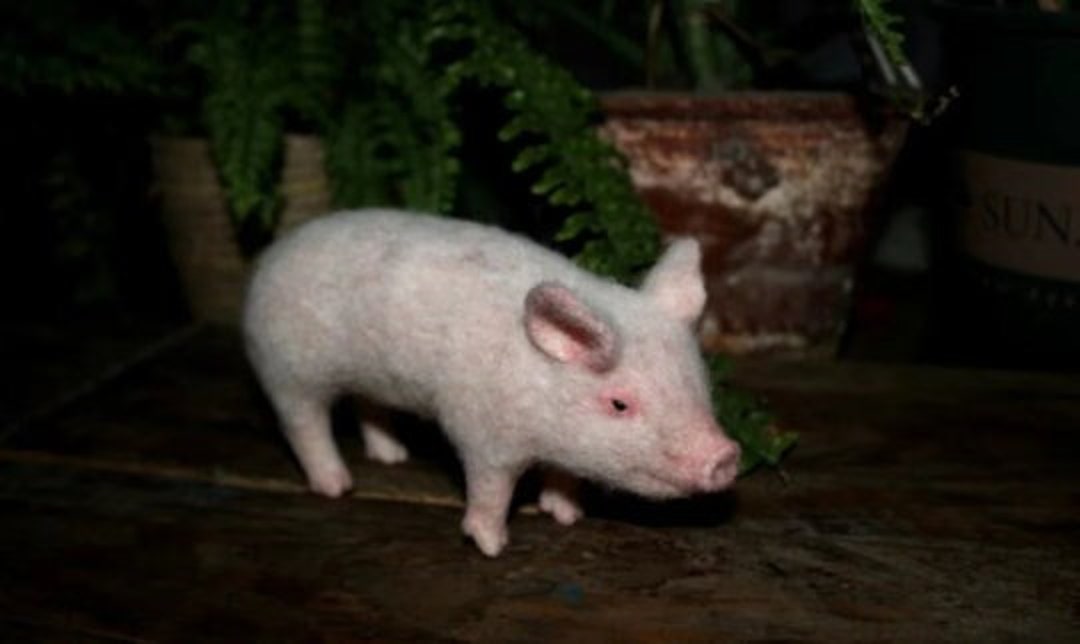 8 Inches Realistic Needle Felted Pig Figurine,needle Felted Animals ...