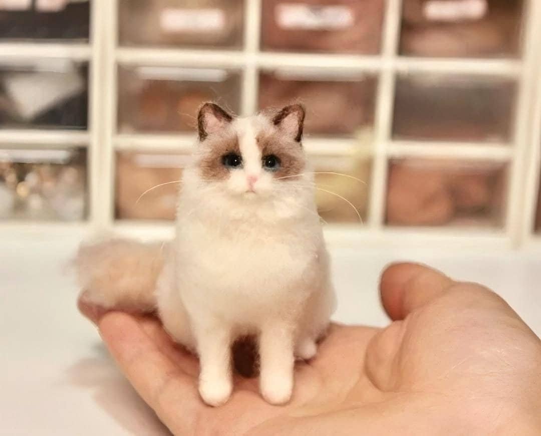 3 Inches Miniature Needle Felted Ragdoll Cat Figurine,custom 3D Felt ...