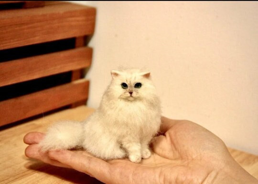 3 Inches Miniature Needle Felted Chinchilla Cat Figurine,doll House Cat ...