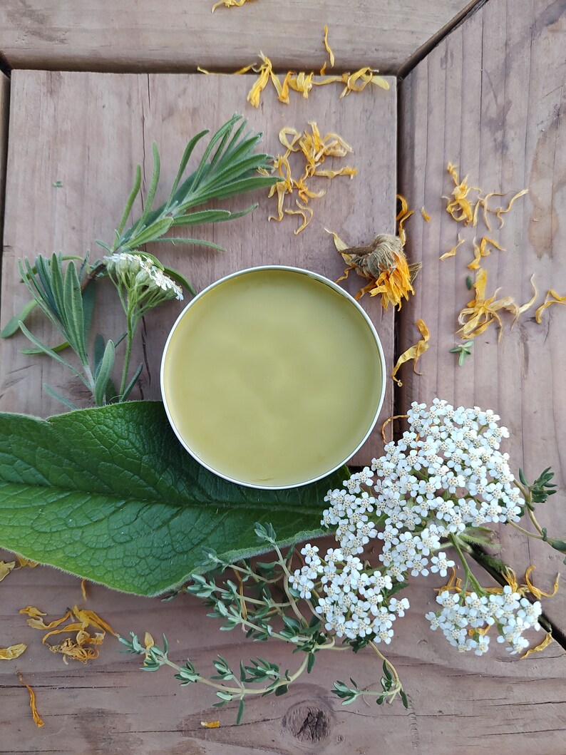 Organic All Purpose Salve - Etsy