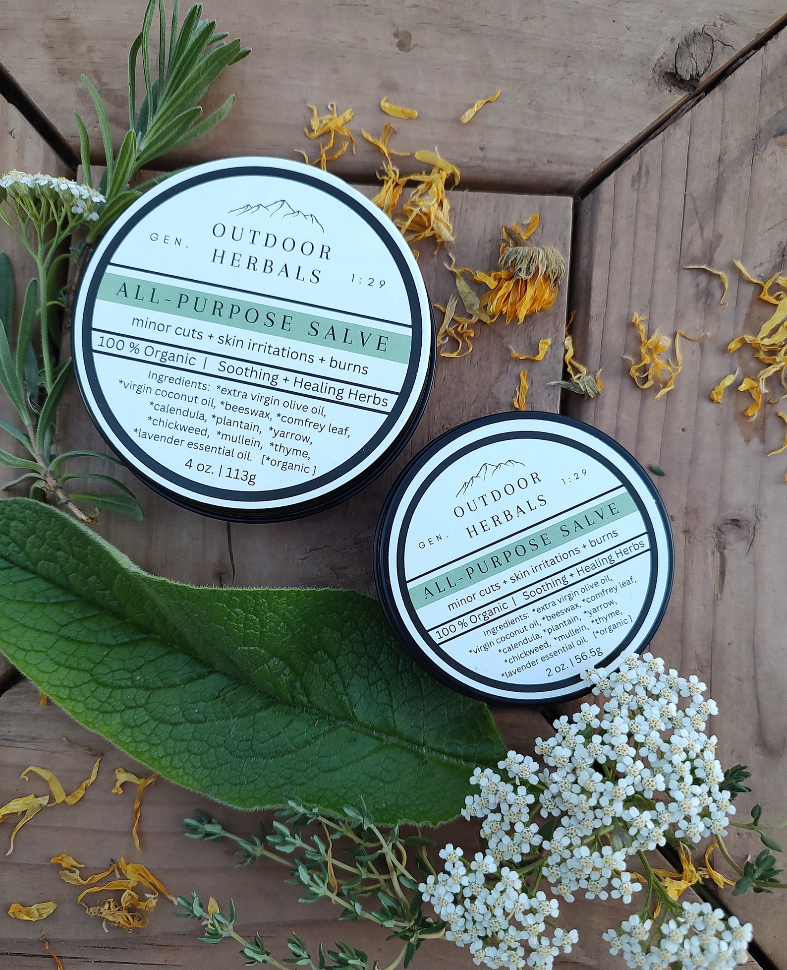 Organic All Purpose Salve - Etsy