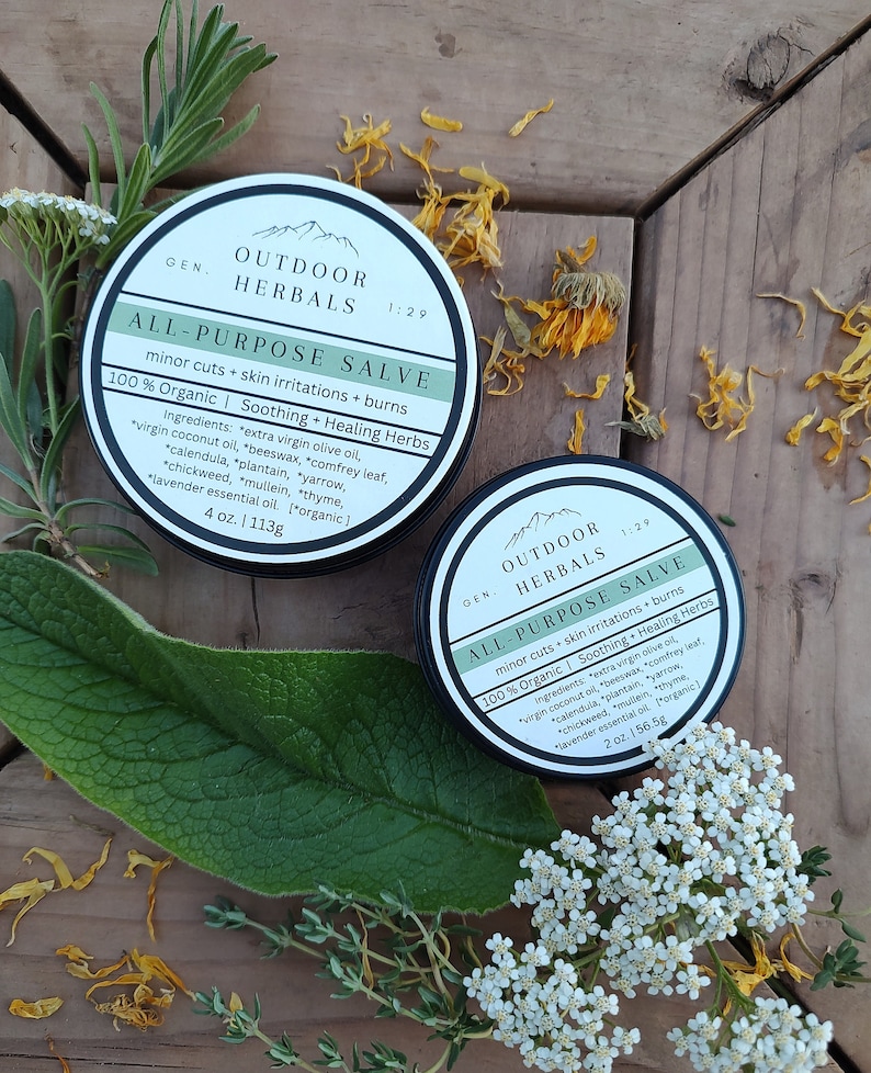 Organic All Purpose Salve - Etsy