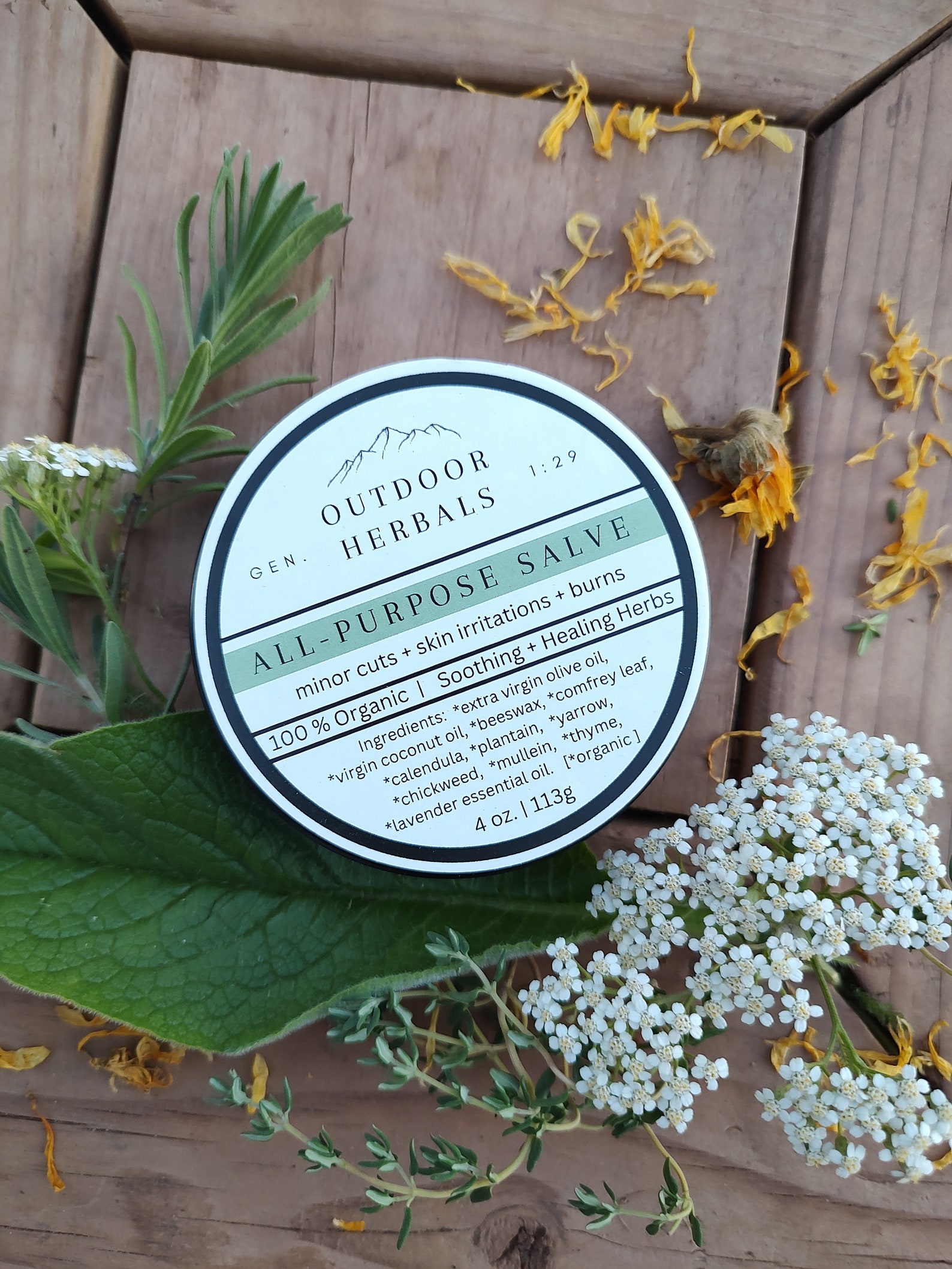 Organic All Purpose Salve - Etsy