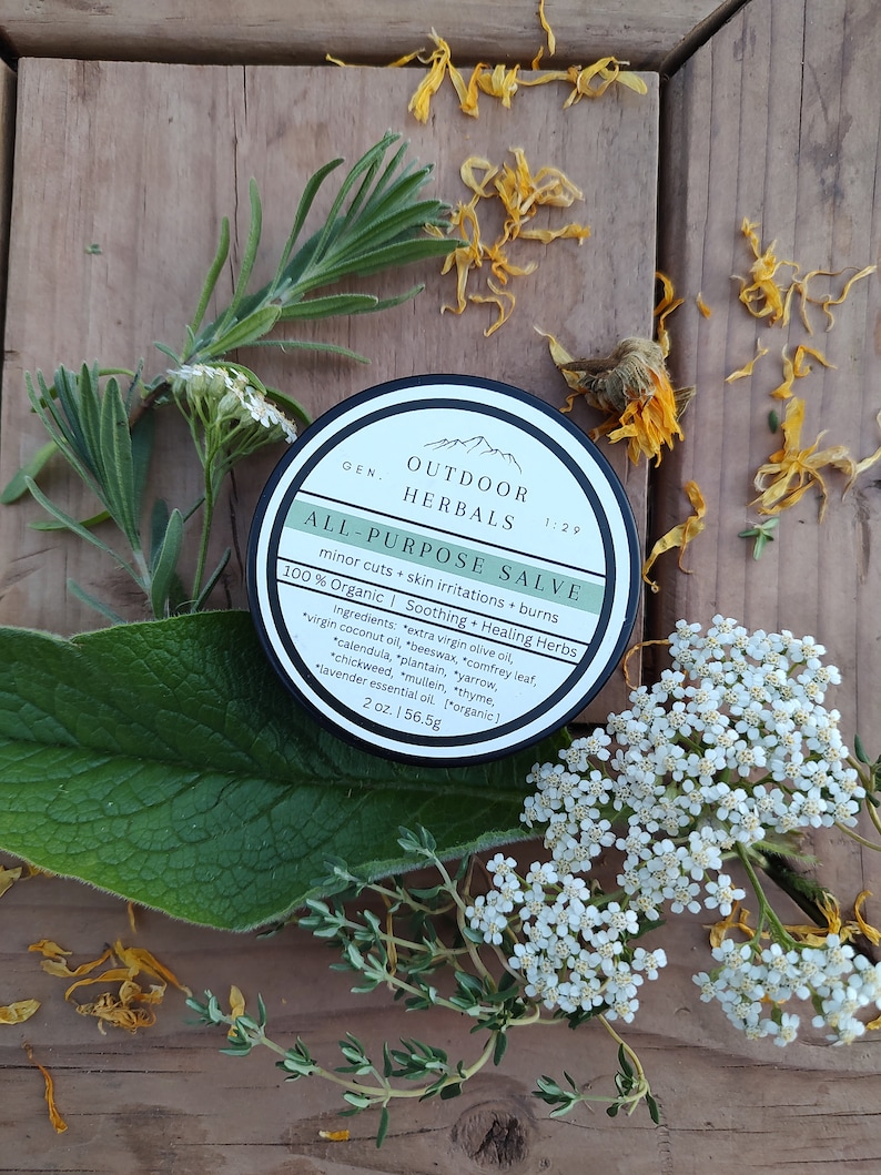 Organic All Purpose Salve - Etsy