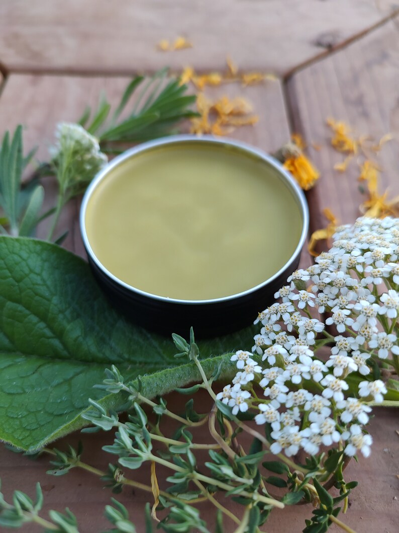 Organic All Purpose Salve - Etsy