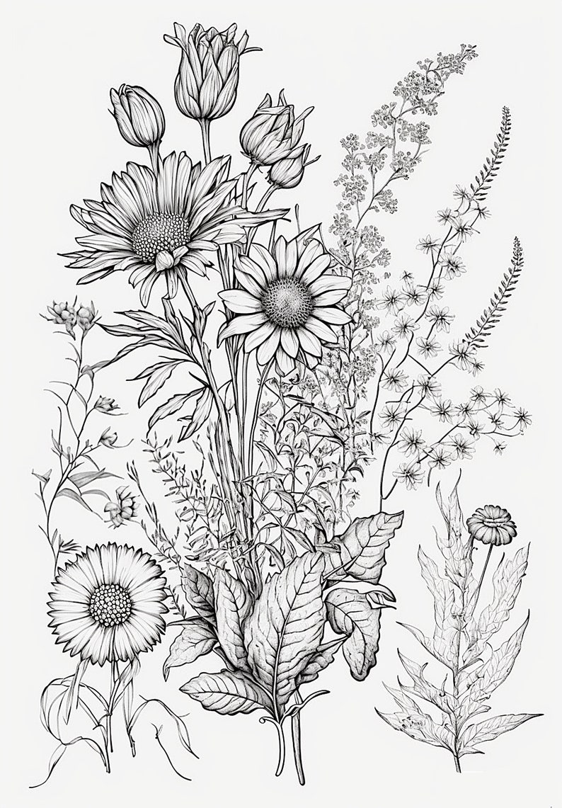 Coloring Pages Wildflowers 5 Sheets - Etsy